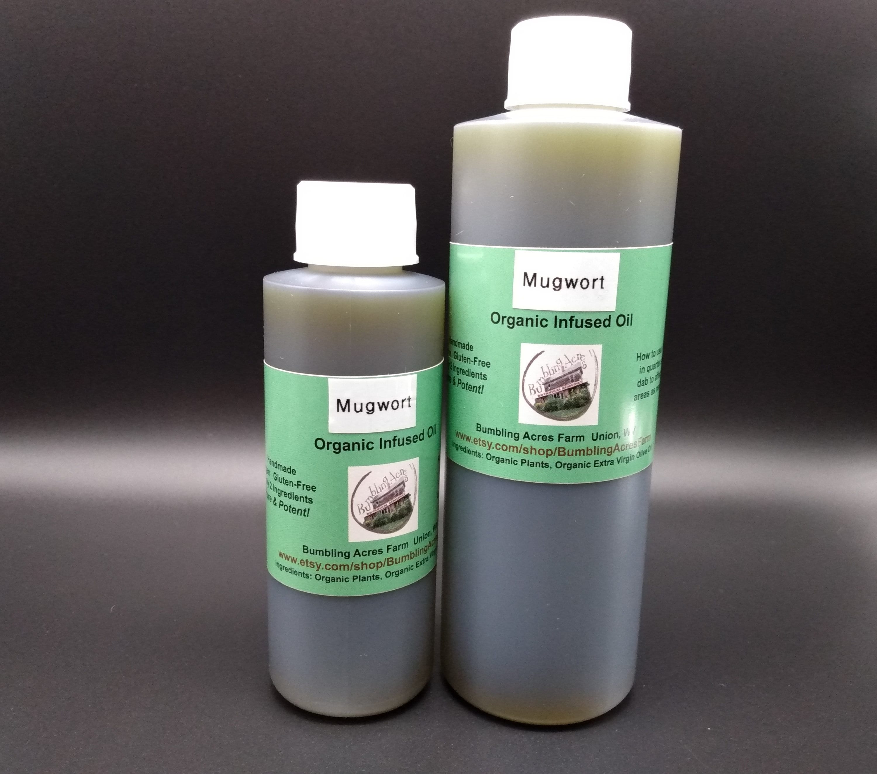 Mugwort Oil Double Infused Organic Only 2 Ingredients Pure and Potent ...