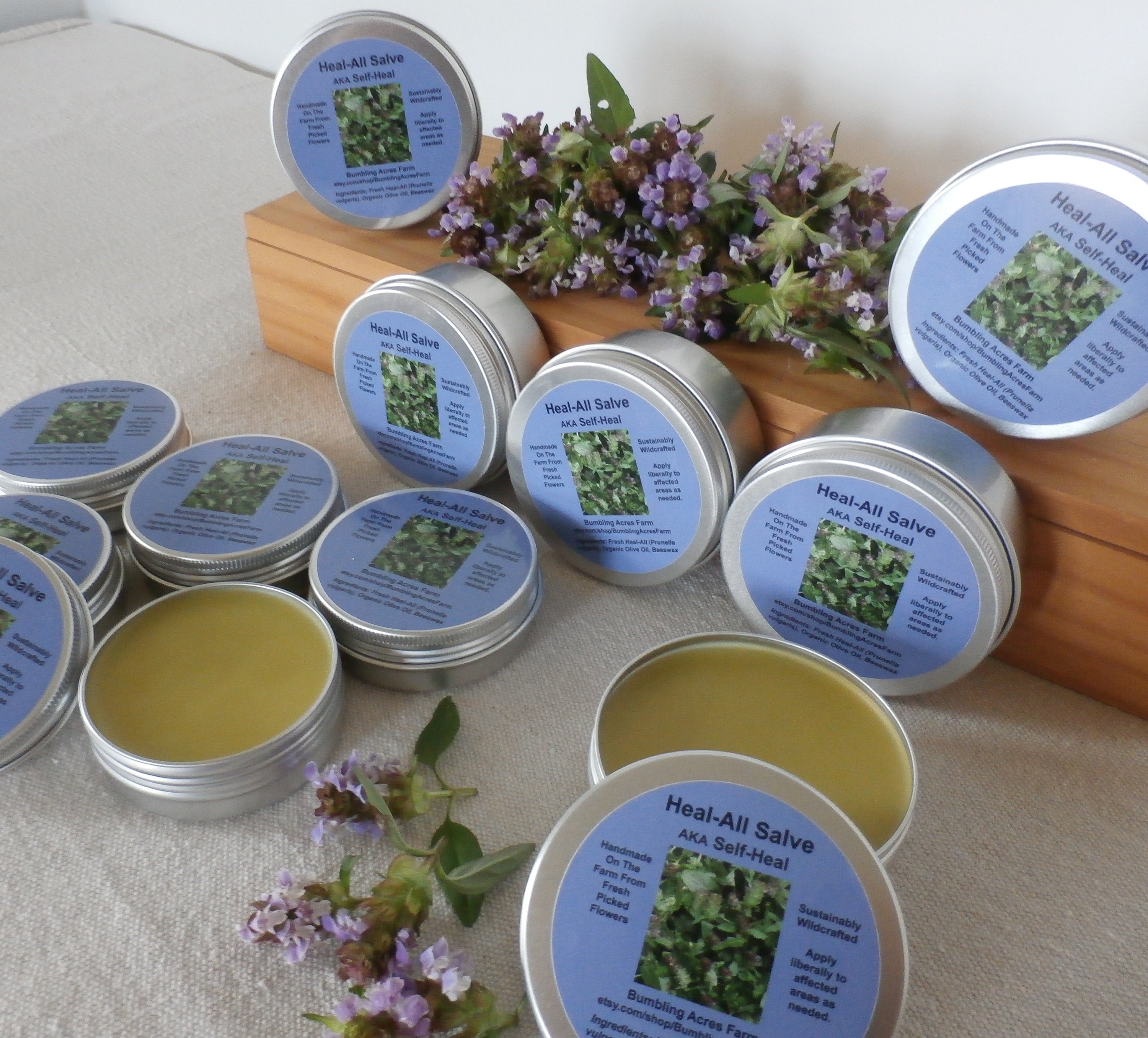Heal All Organic Fresh Flower Salve Prunella Vulgaris – Bumbling Acres Farm